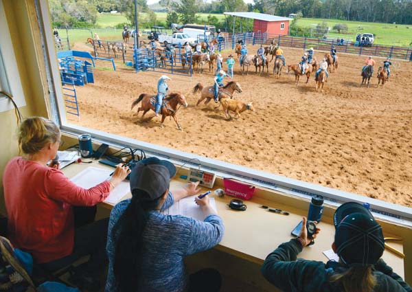 Room with a view of roping action | News, Sports, Jobs - Maui News